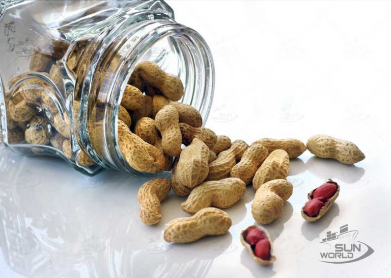 The Best Quality Peanuts - Iran Sun World Export and Trade